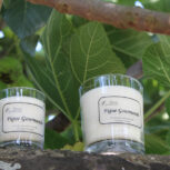 Création artisanale de bougies parfumées et parfums d’ambiance NATURE ...