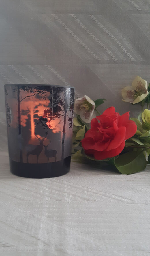 Photophore cerf - NATURE ET BON SENS